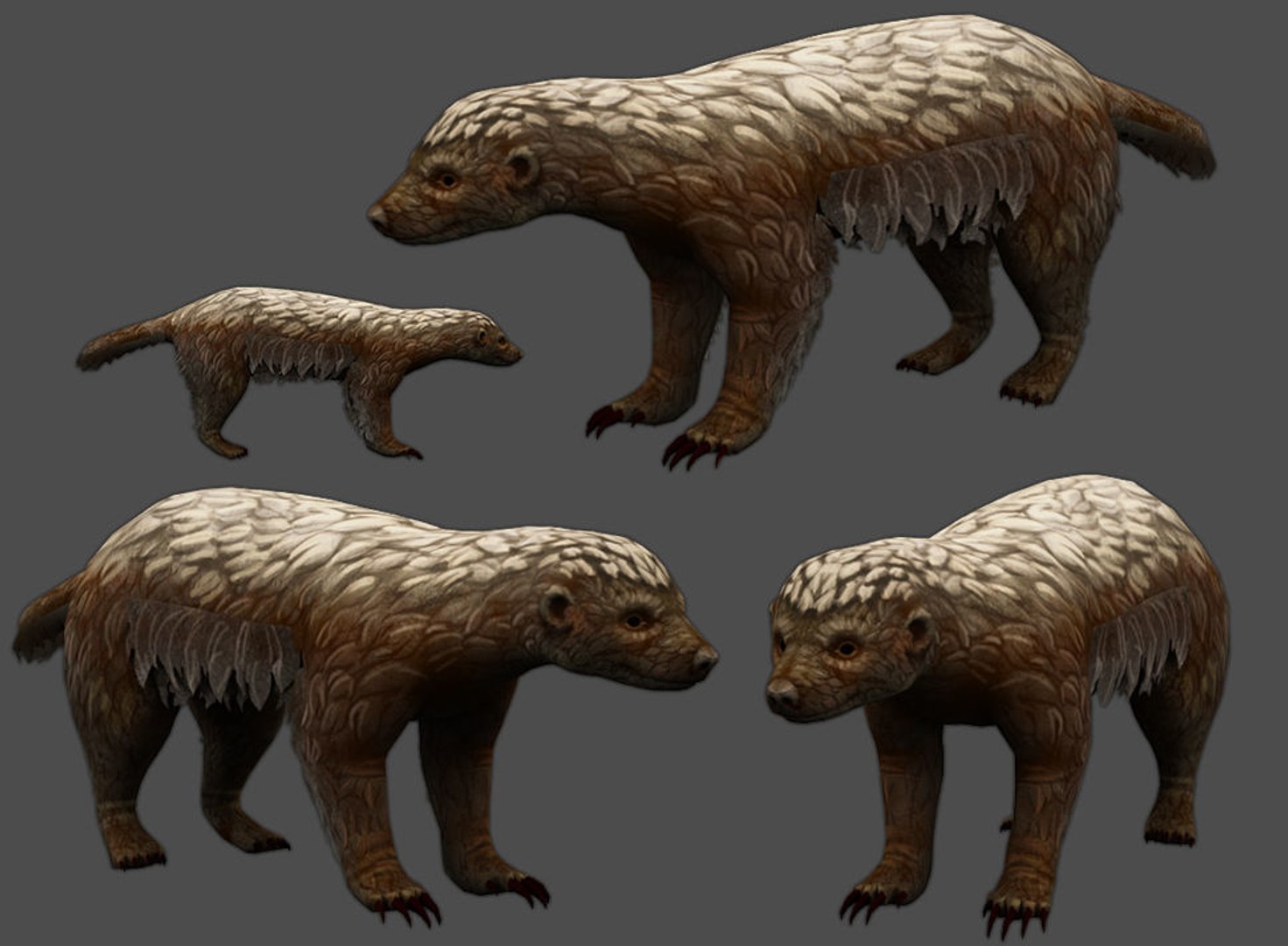 Ratel Low-poly Model - TurboSquid 1469345