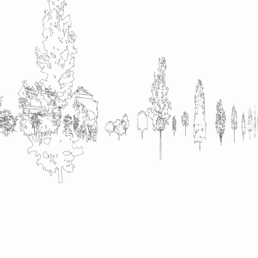Trees 3d Model