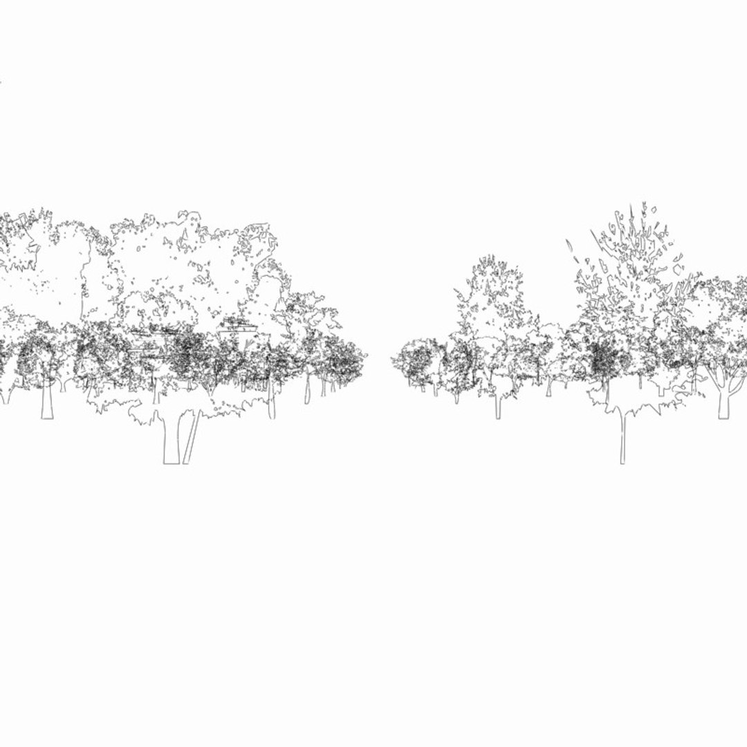 Trees 3d Model