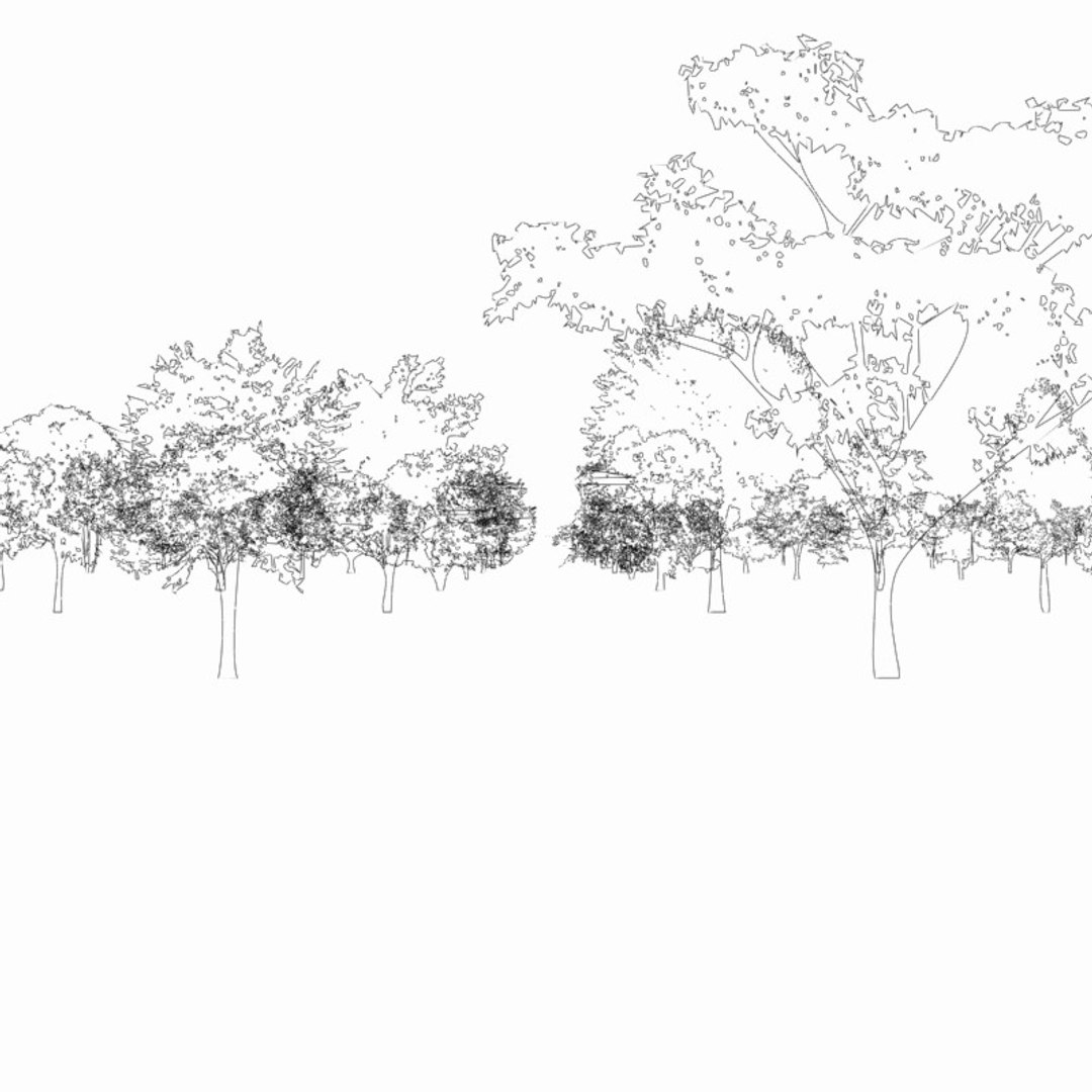 Trees 3d Model