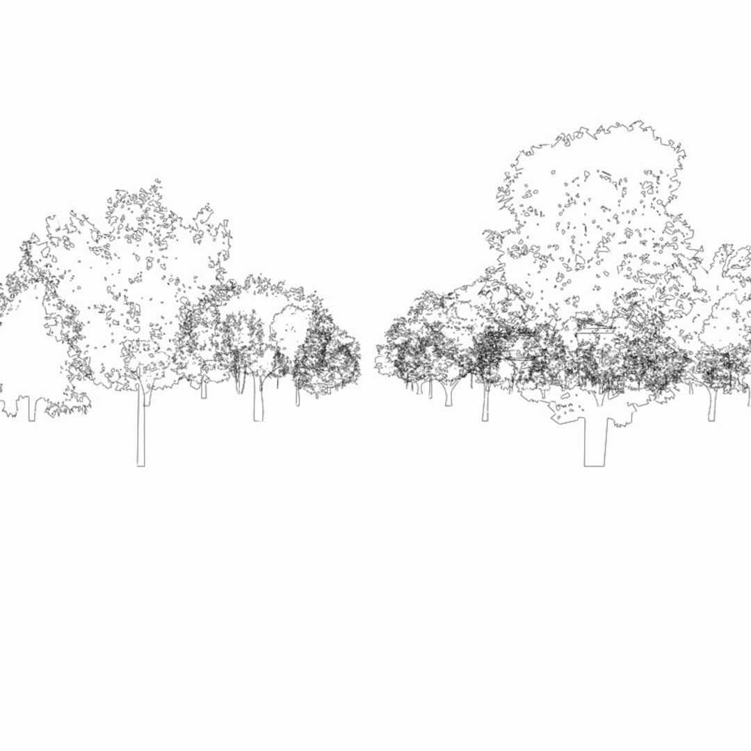 Trees 3d Model