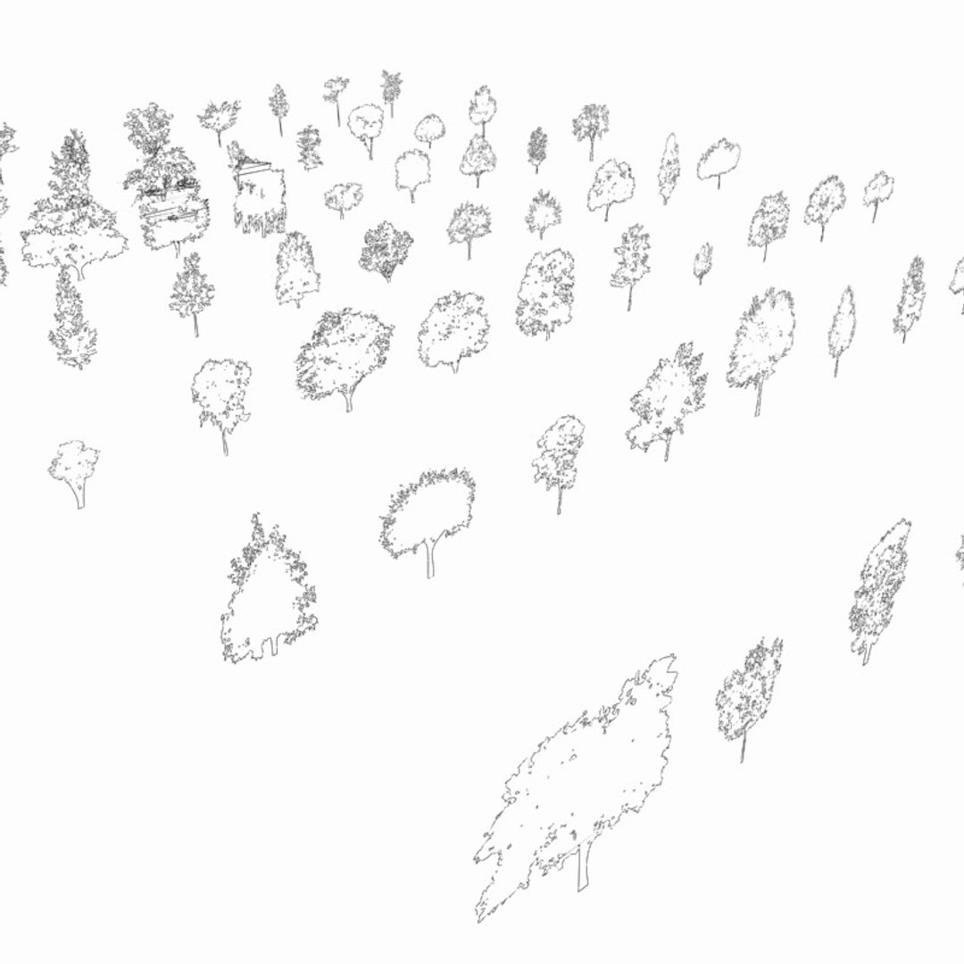 Trees 3d Model