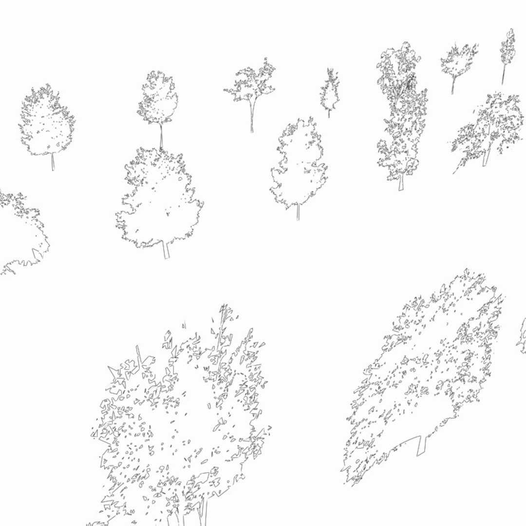 Trees 3d Model