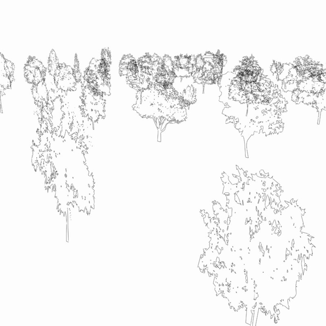 Trees 3d Model