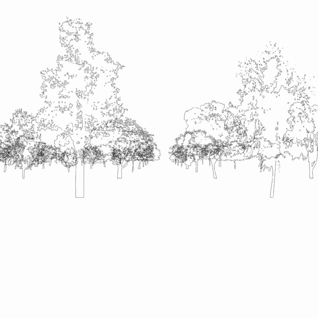 Trees 3d Model