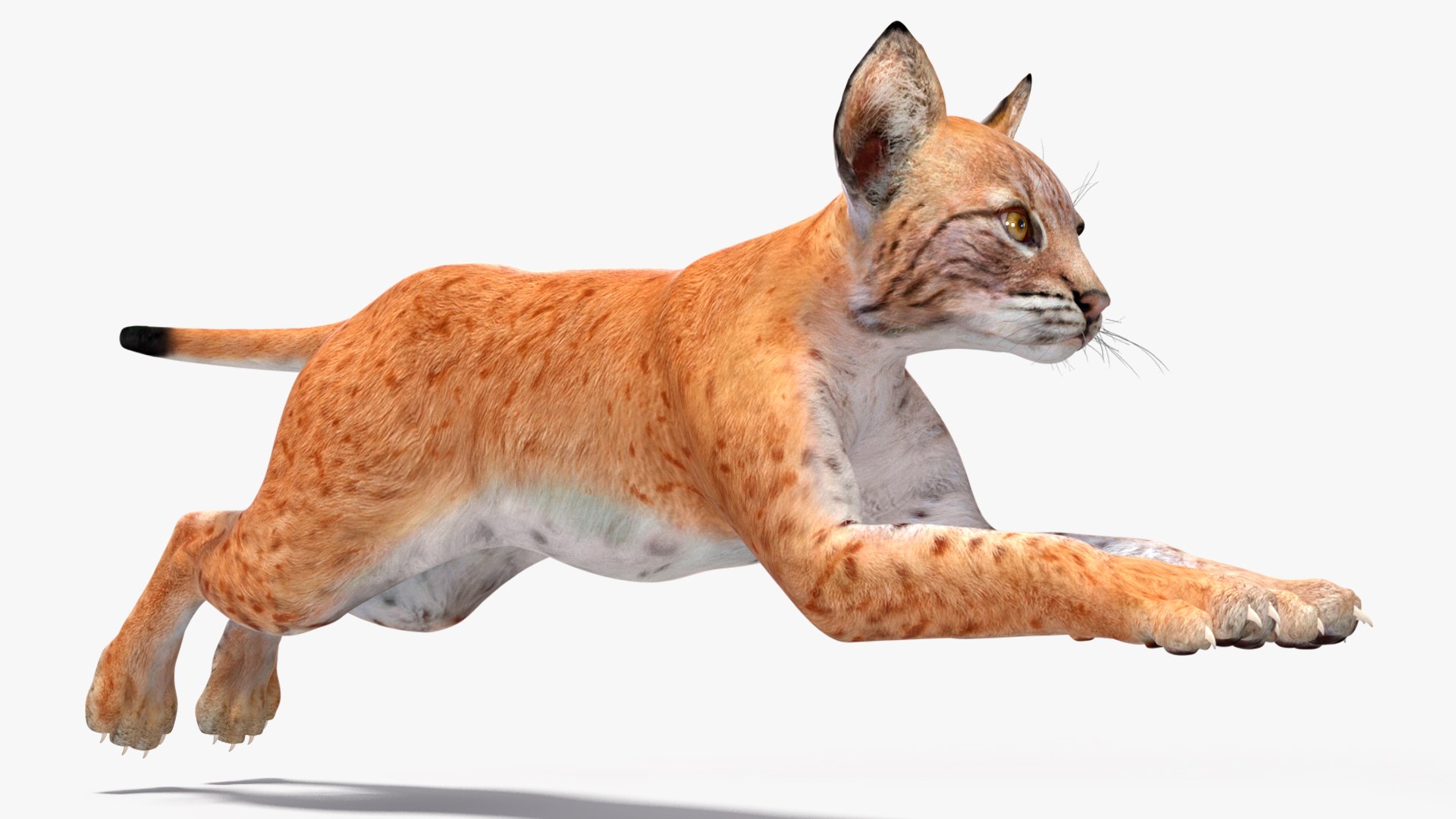 3D Lynx Cub In Jumping Pose For 3D Print - TurboSquid 2370086