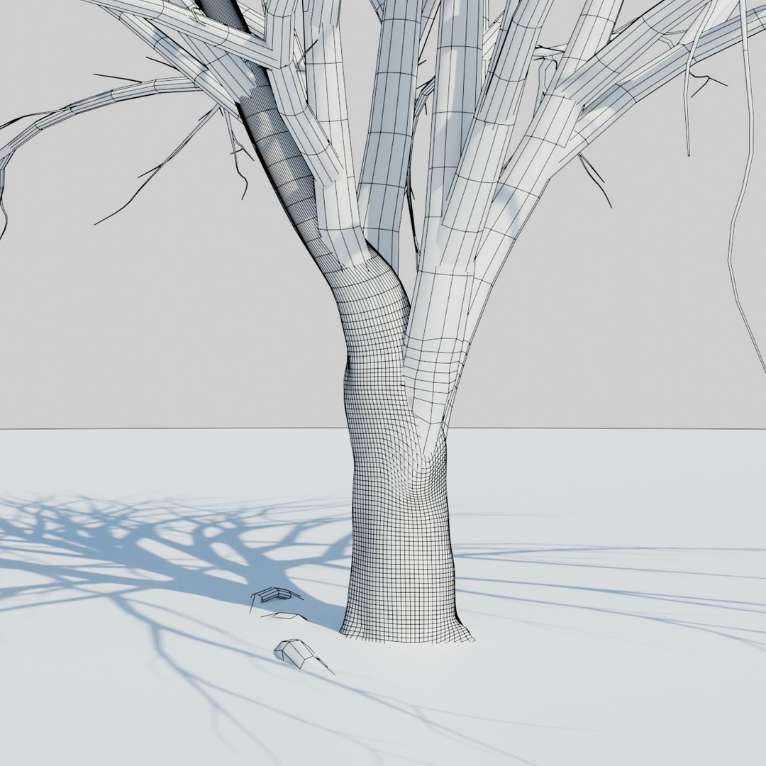 Big tree 3D model - TurboSquid 1593861