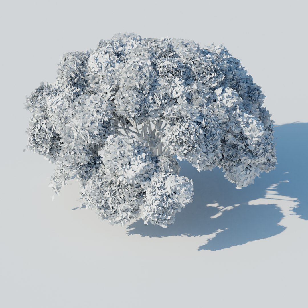 Big tree 3D model - TurboSquid 1593861