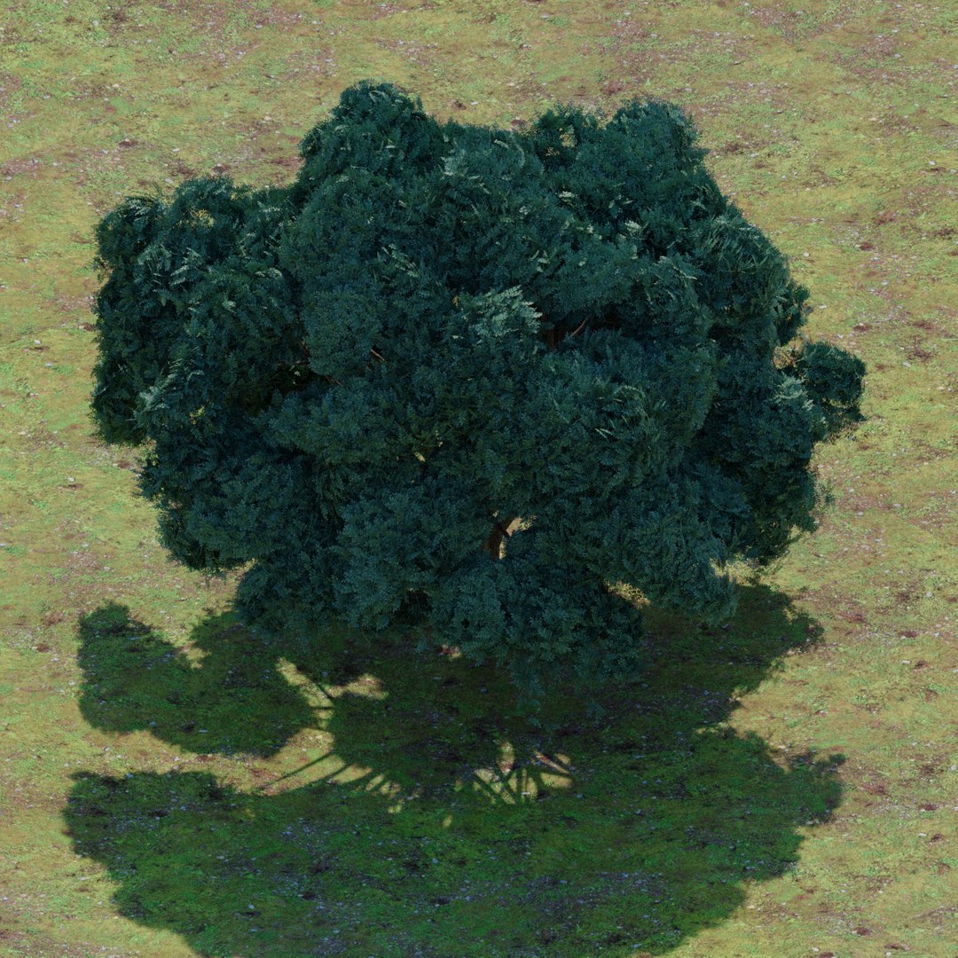 Big tree 3D model - TurboSquid 1593861