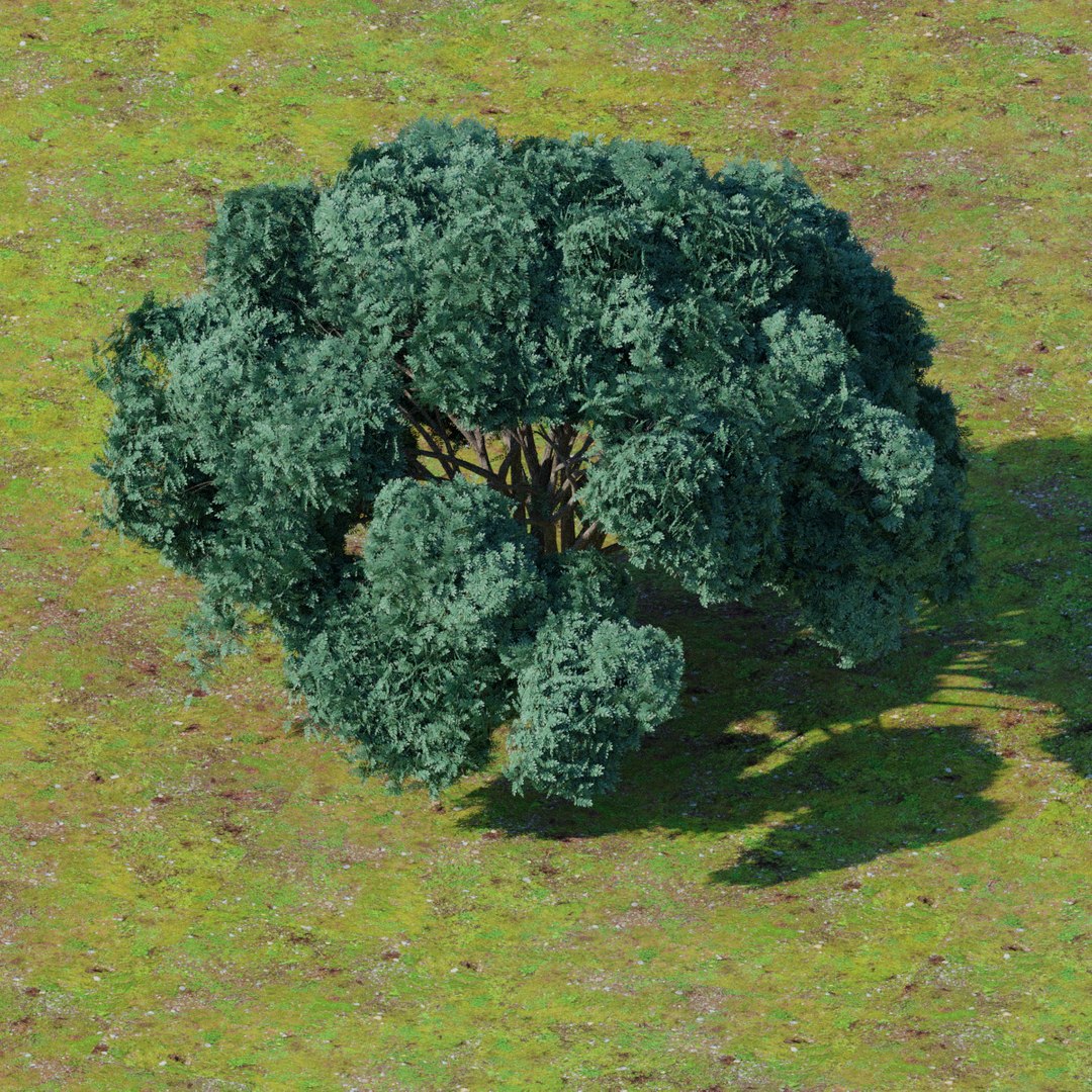 Big tree 3D model - TurboSquid 1593861