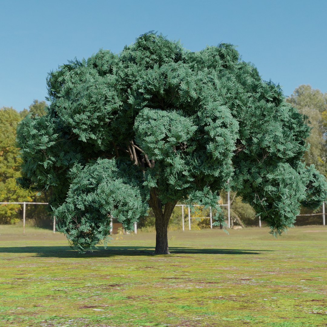 Big tree 3D model - TurboSquid 1593861
