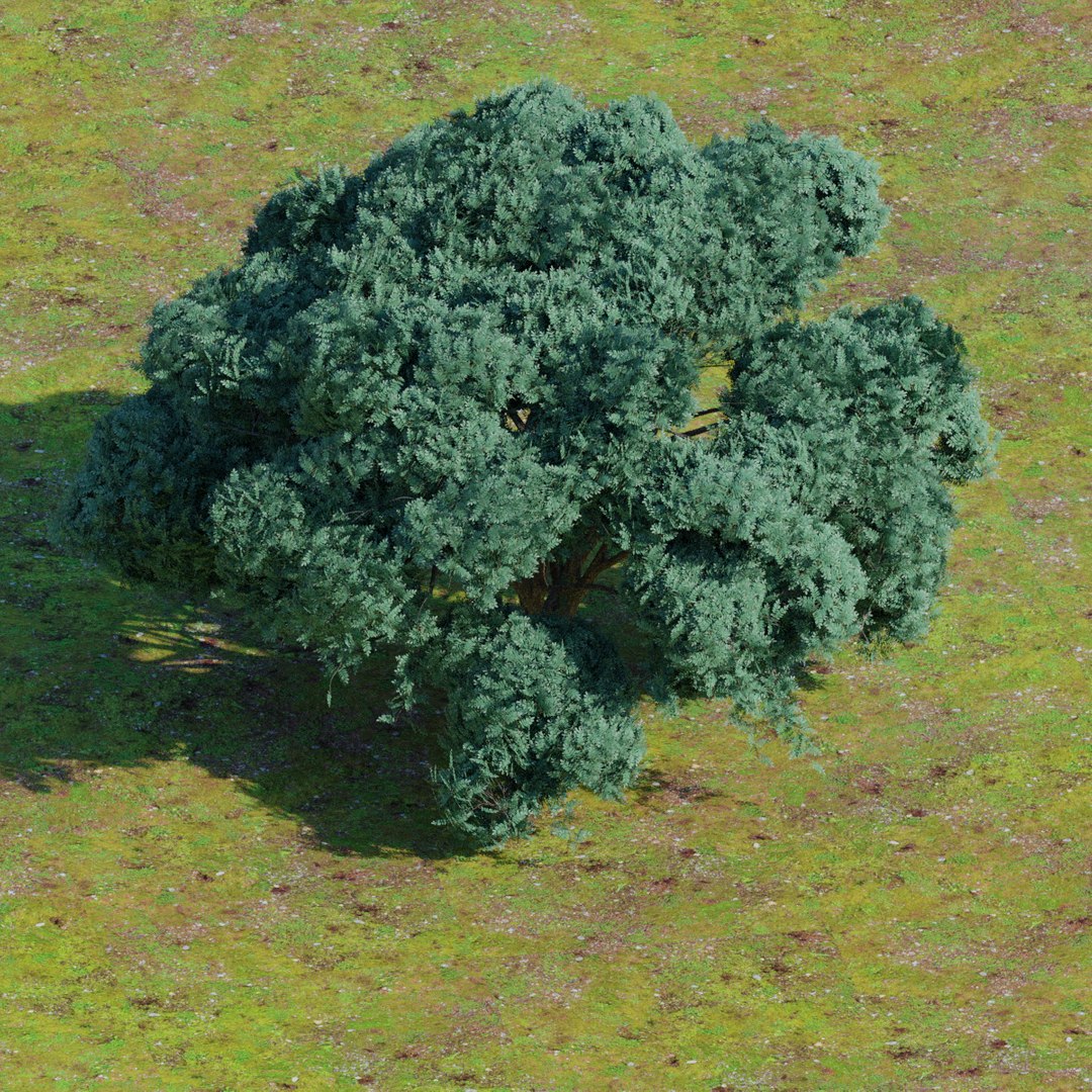 Big tree 3D model - TurboSquid 1593861