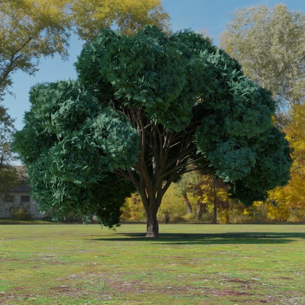 STL Tree-Oak-Tree Models | TurboSquid
