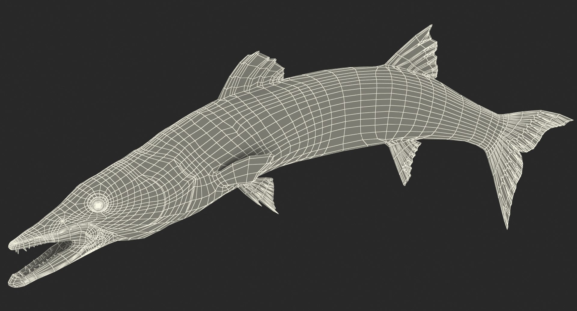 Barracuda Fish Pose 2 3d Model