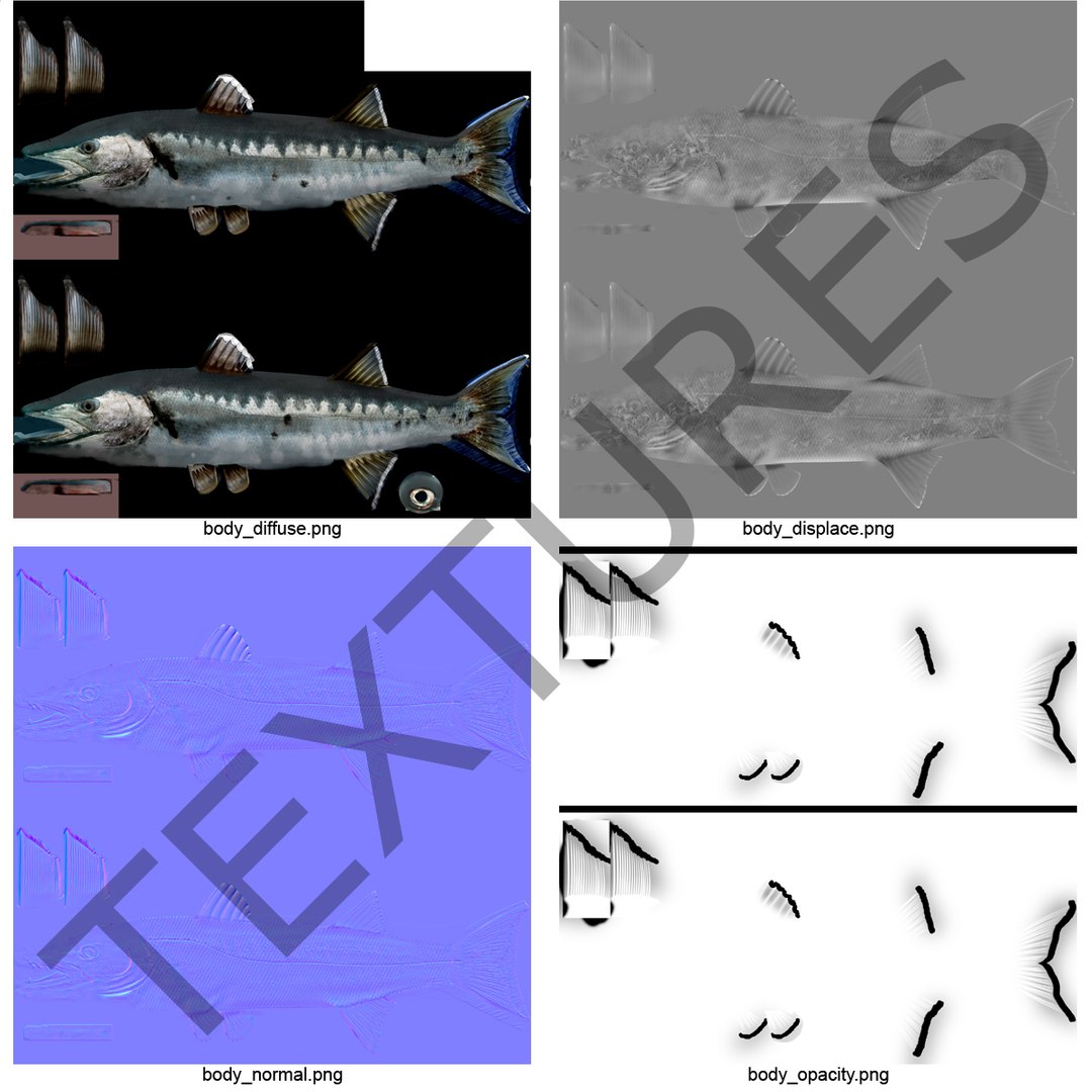 Barracuda Fish Pose 2 3d Model