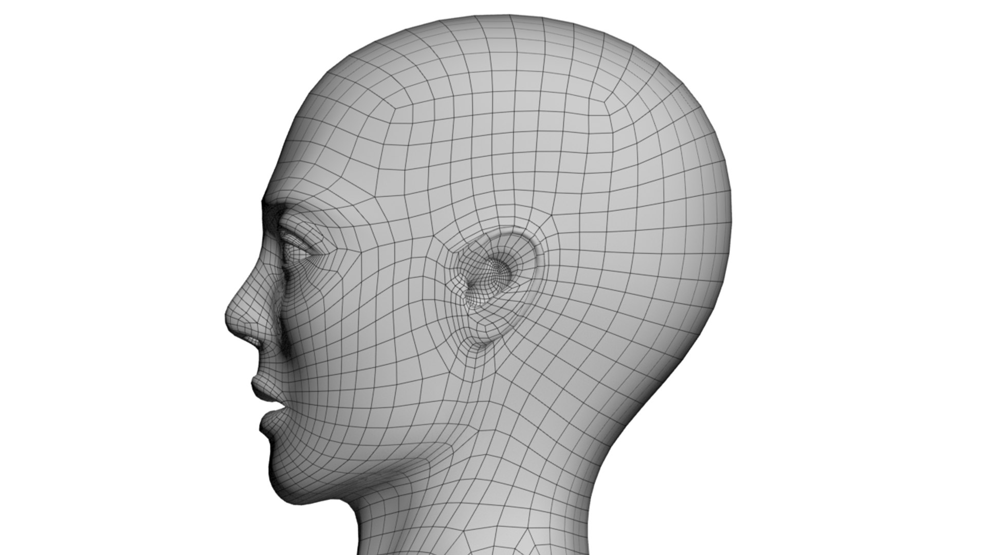 Human Base Model Unisex Model - TurboSquid 2230587