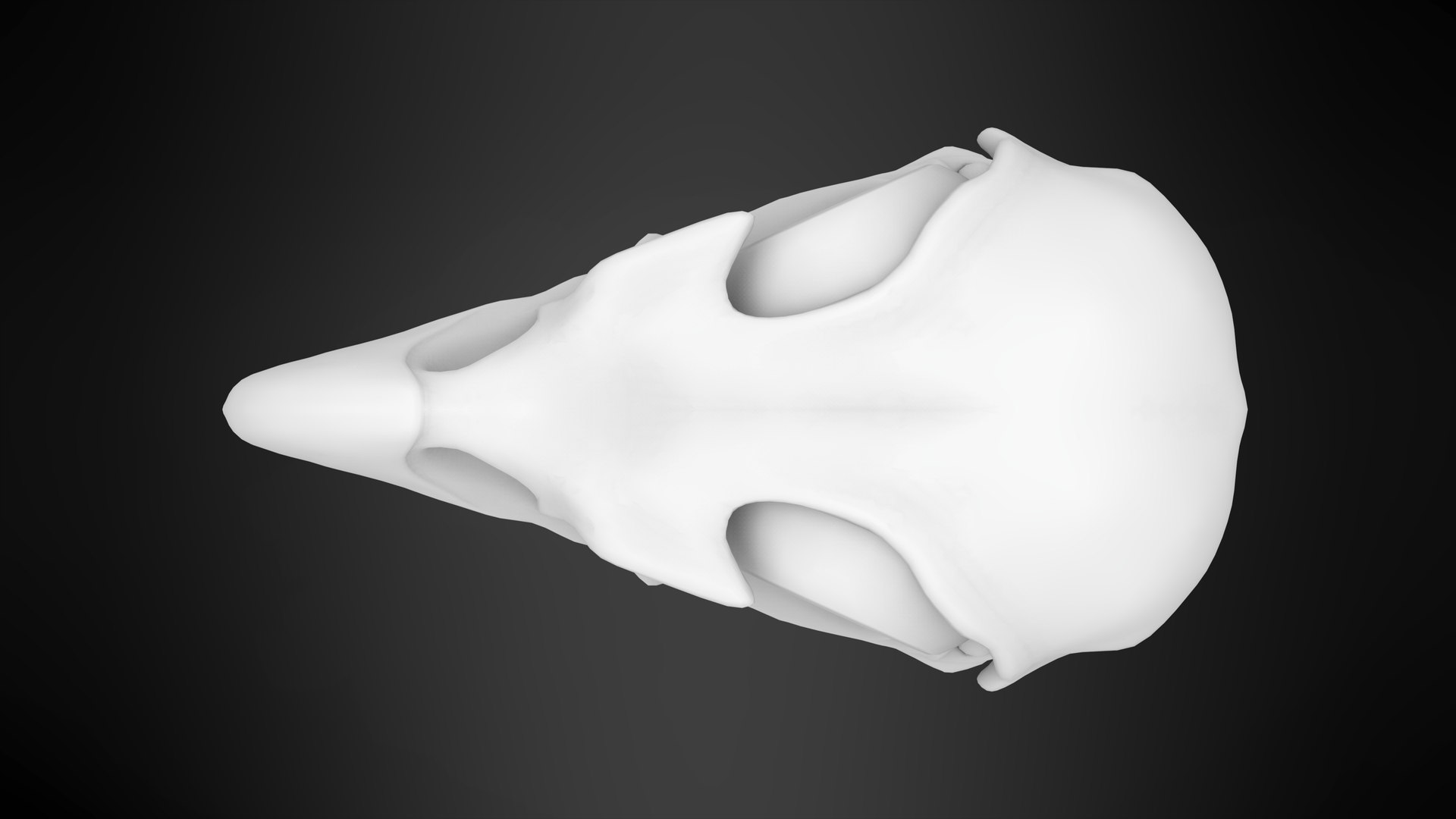 3D Griffin Skull Model - TurboSquid 1528035