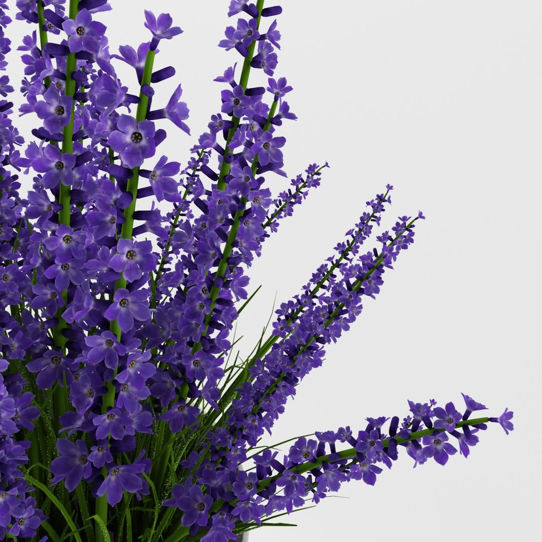 Bouquet Purple Lavender Max