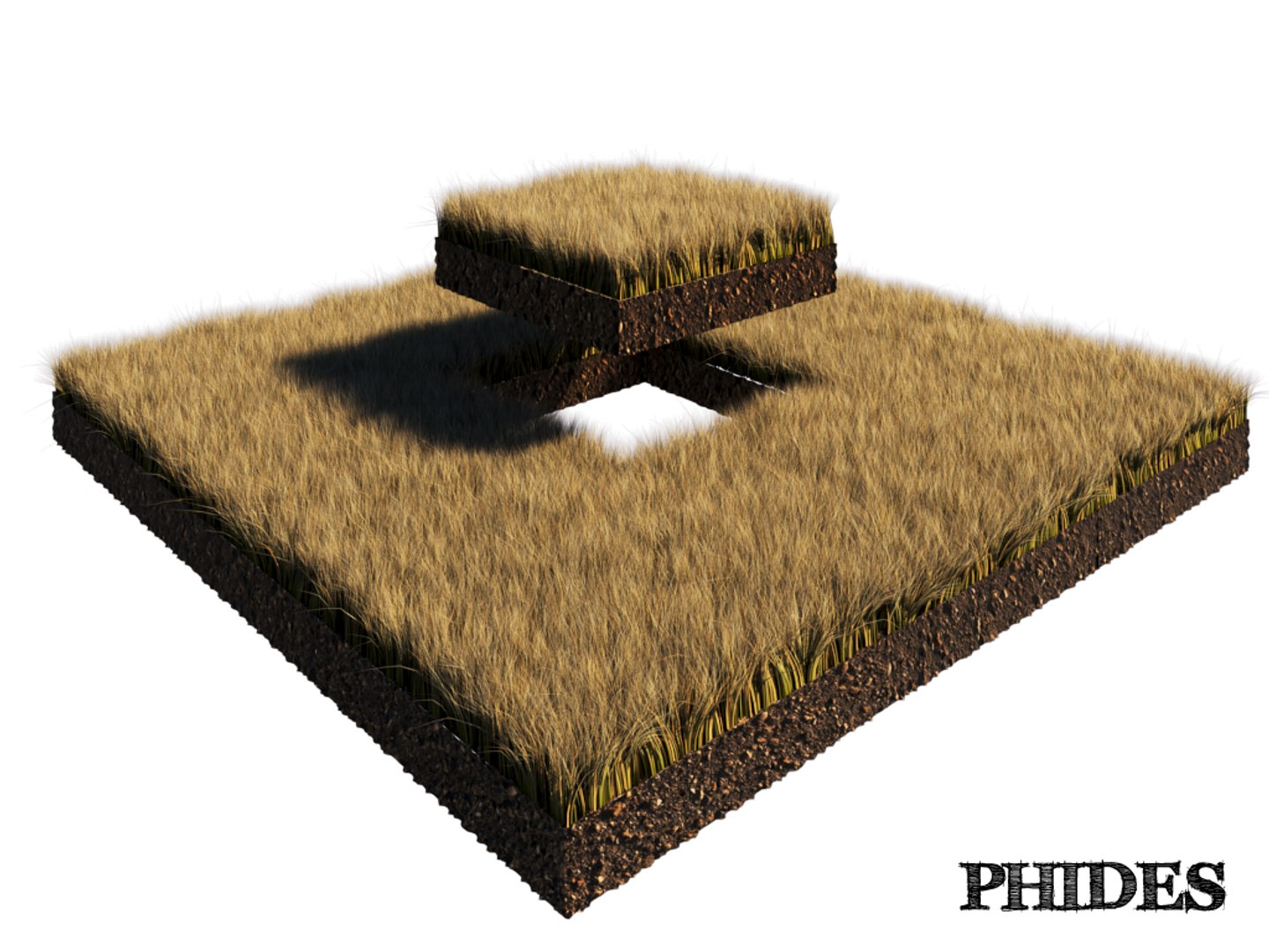 Dry Grass 1 3D - TurboSquid 1194895