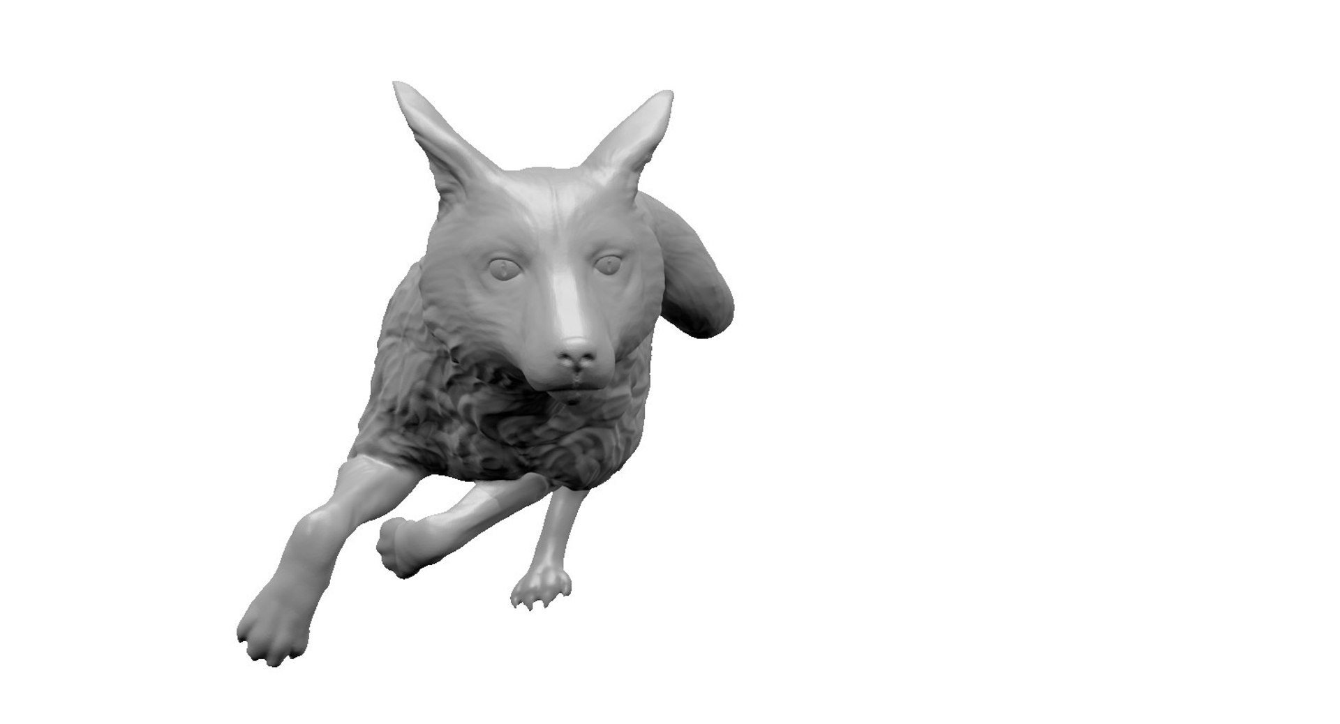 Maya Red Fox Running