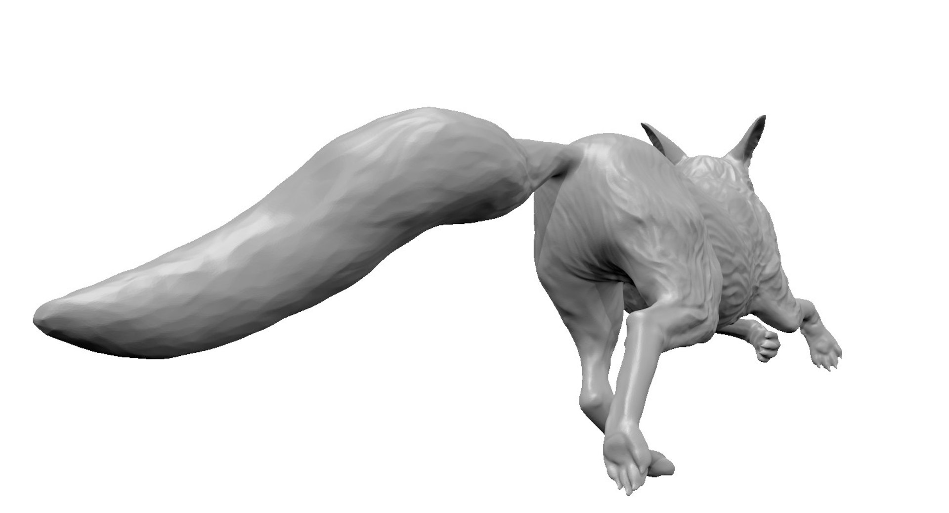 Maya Red Fox Running