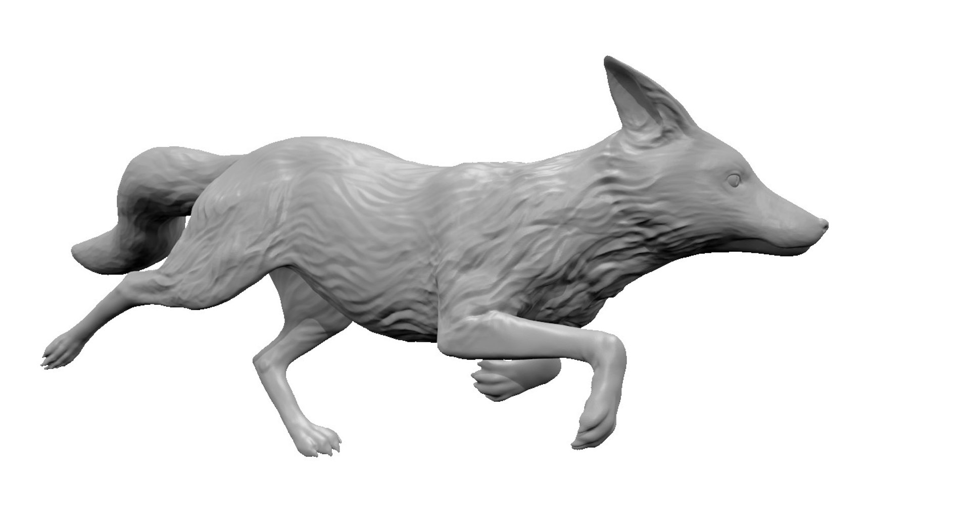 Maya Red Fox Running