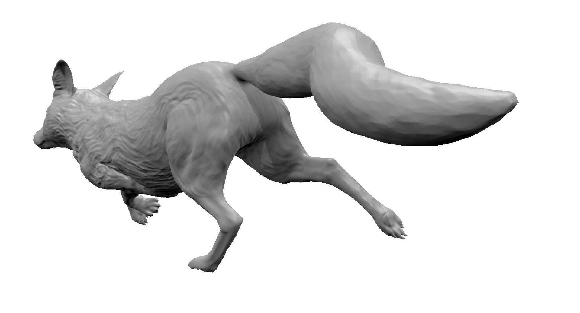 Maya Red Fox Running
