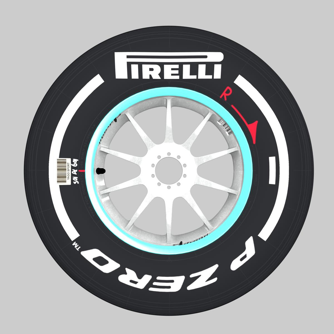 Pirelli Tyre W06 3d Model