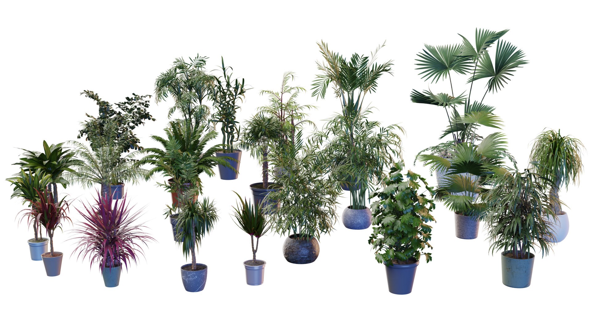 3D Model Indoor Potted Palms 3d Collection - TurboSquid 2259694