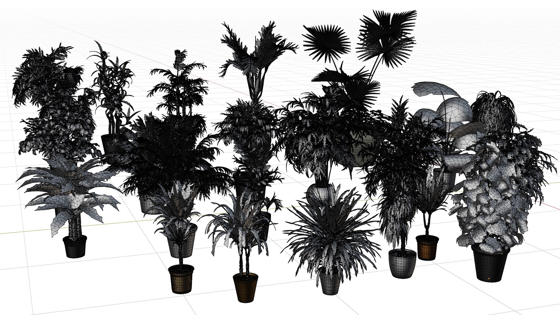 3D Model Indoor Potted Palms 3d Collection - TurboSquid 2259694 3D Model Indoor Potted Palms 3d Collection - TurboSquid 2259694