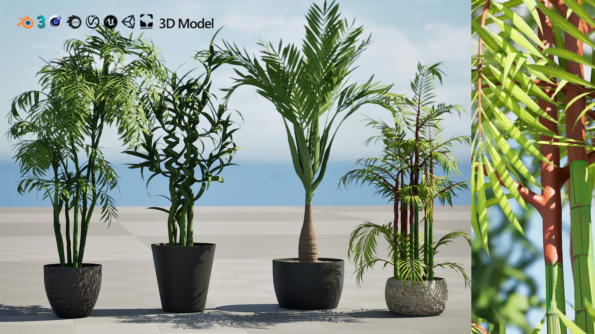 3D Model Indoor Potted Palms 3d Collection - TurboSquid 2259694