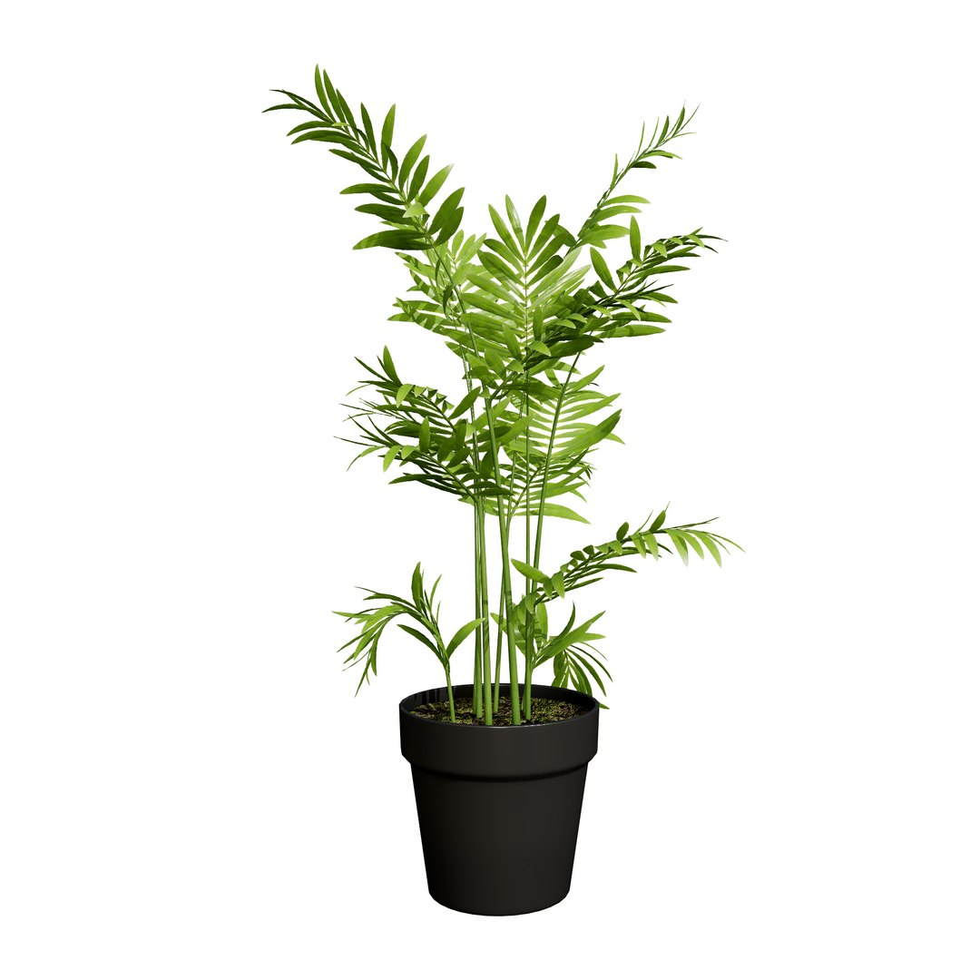 3D Model Indoor Potted Palms 3d Collection - TurboSquid 2259694