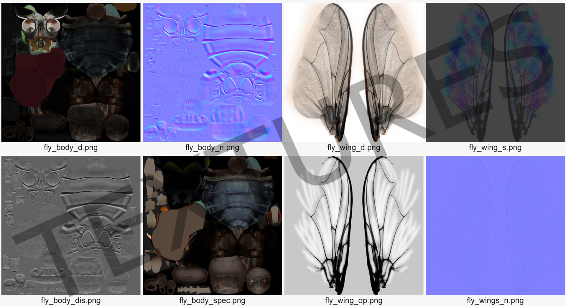 3d Flying House Model