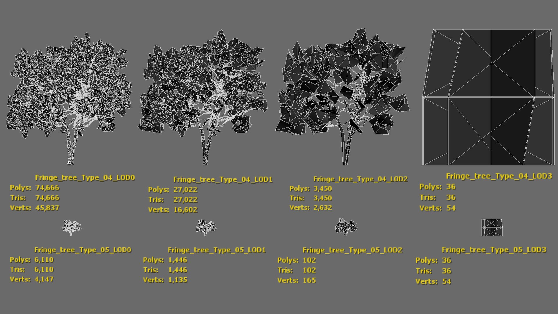 3D 5 Realistic Korean Fringe Tree Model II LOD II Game Ready Model ...