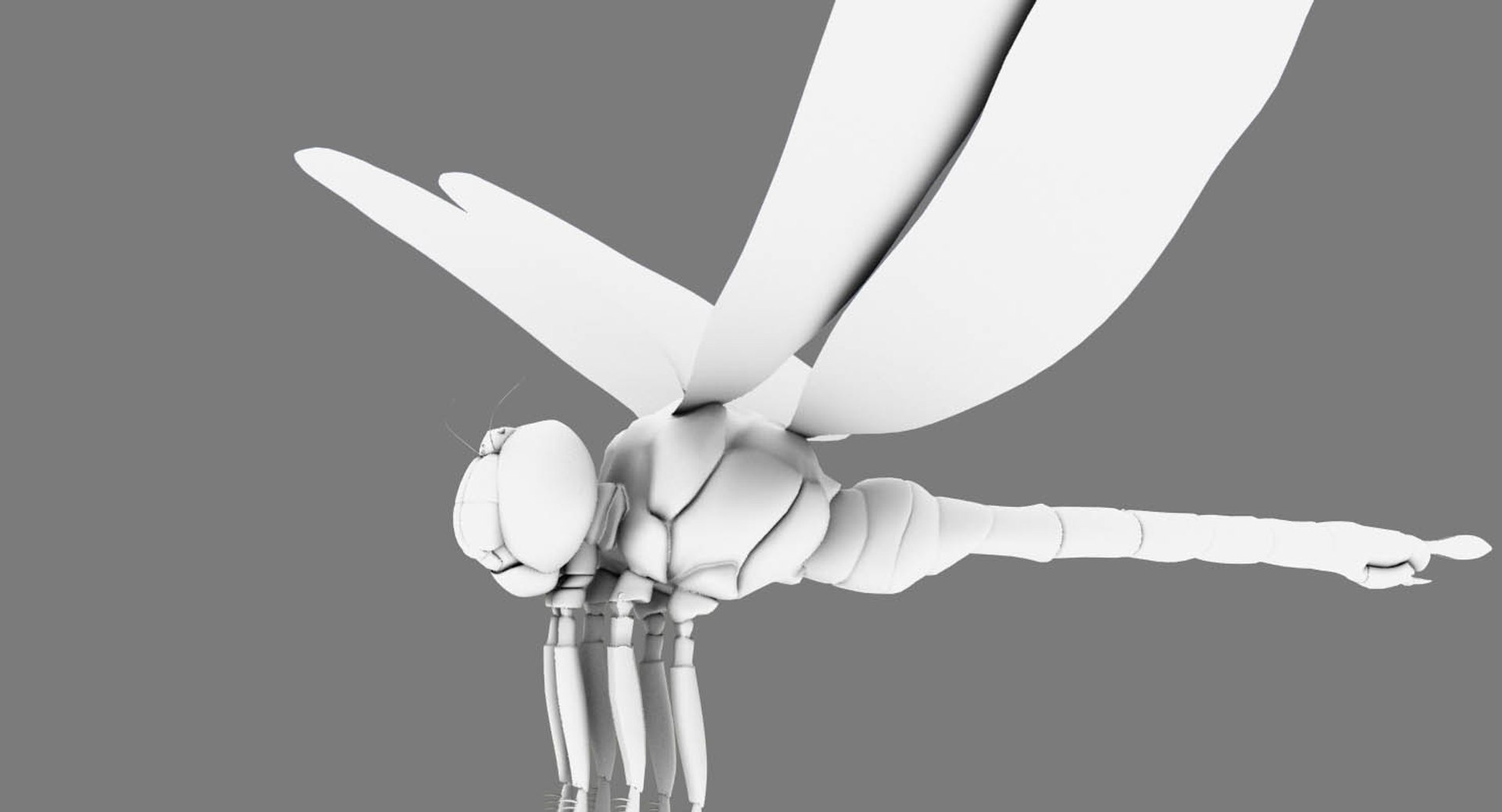Dragonfly 3D Model - TurboSquid 1434663