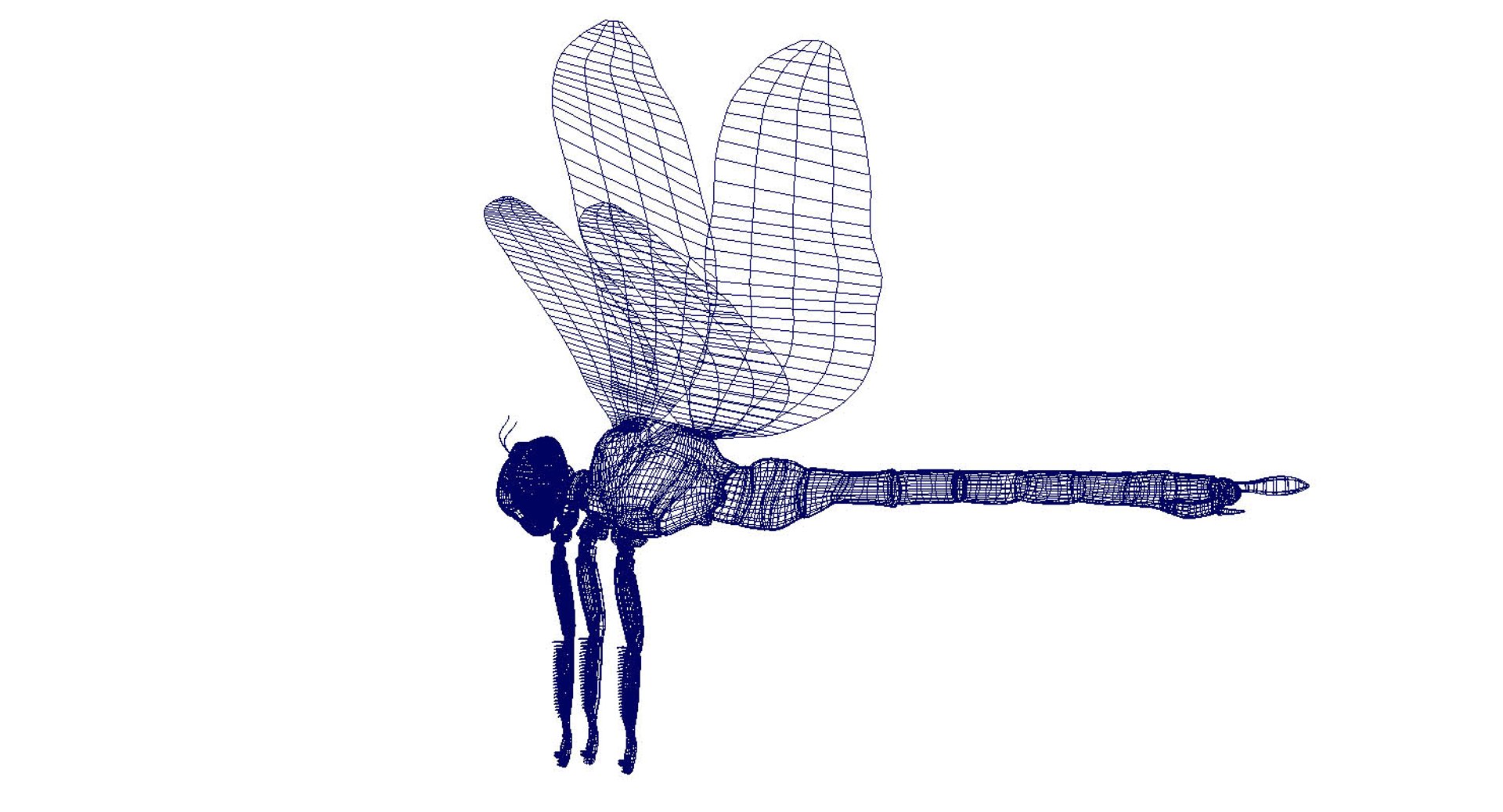 Dragonfly 3D Model - TurboSquid 1434663