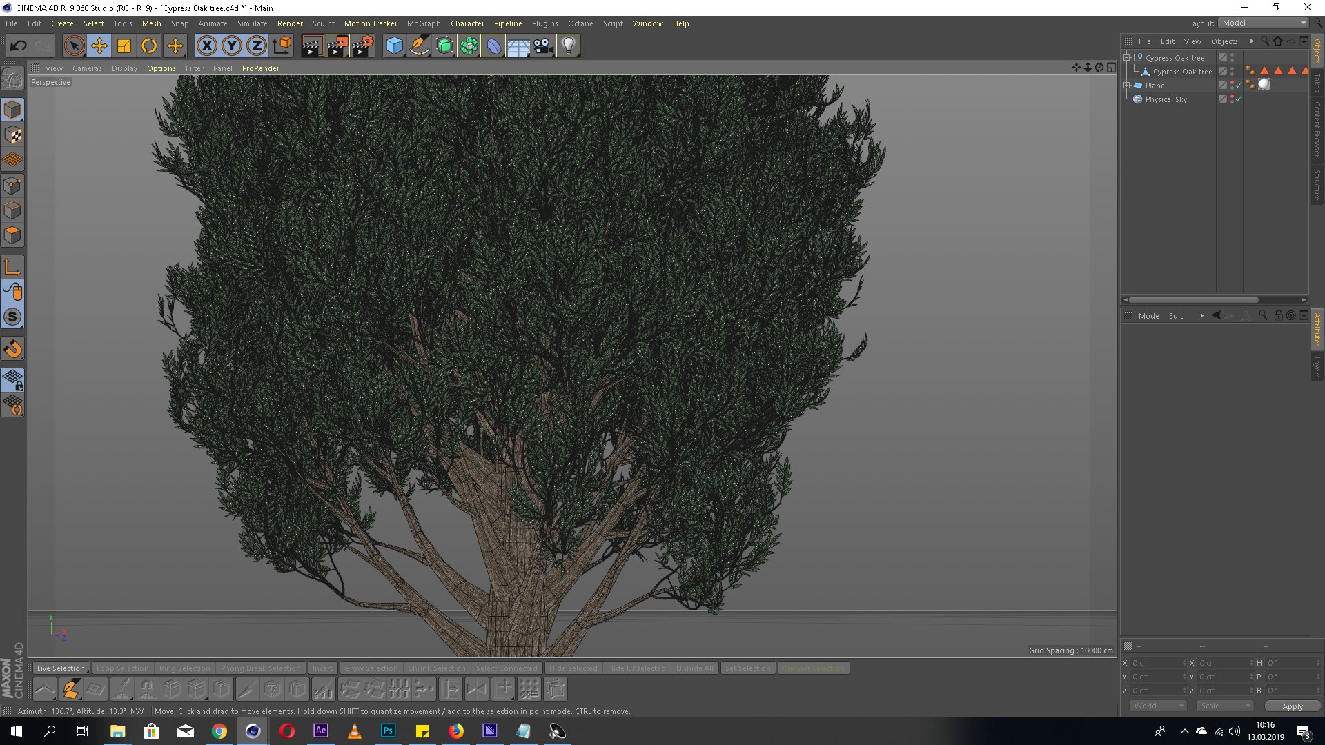 Cypress Oak Tree Model - TurboSquid 1386780