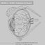 Eye Section 3d Model