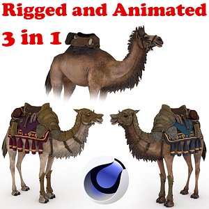 3d camel animations