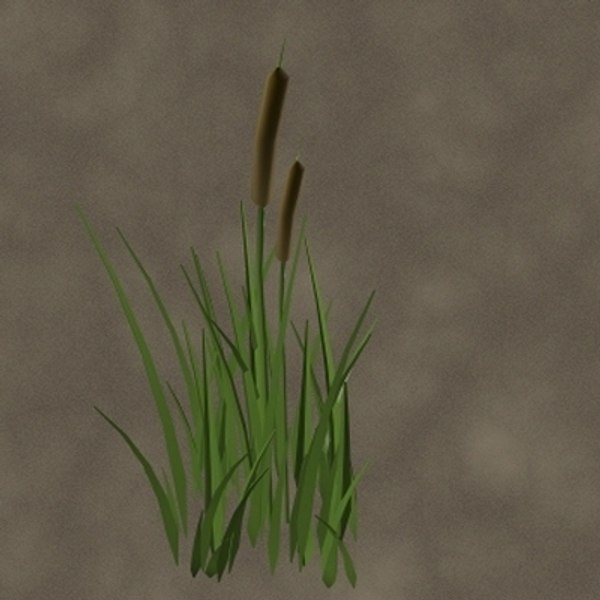 3d cattails zipped model