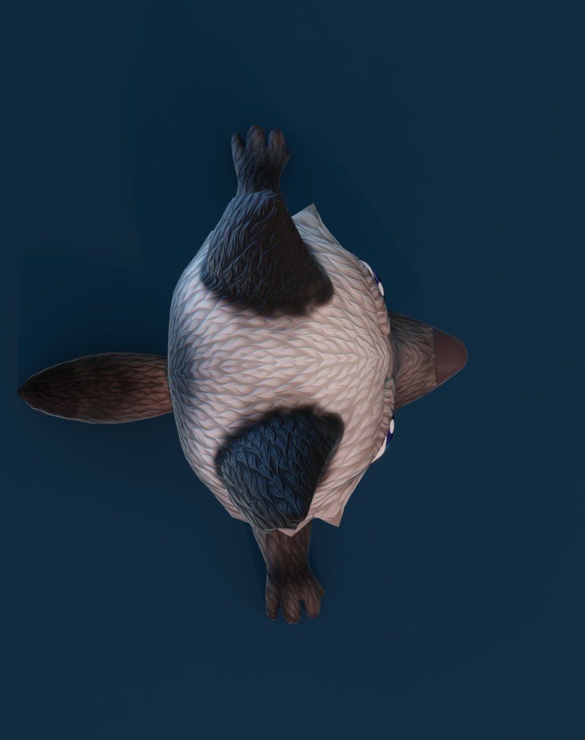 Cartoon Silver Fox 3D Model 3D Model - TurboSquid 1845819