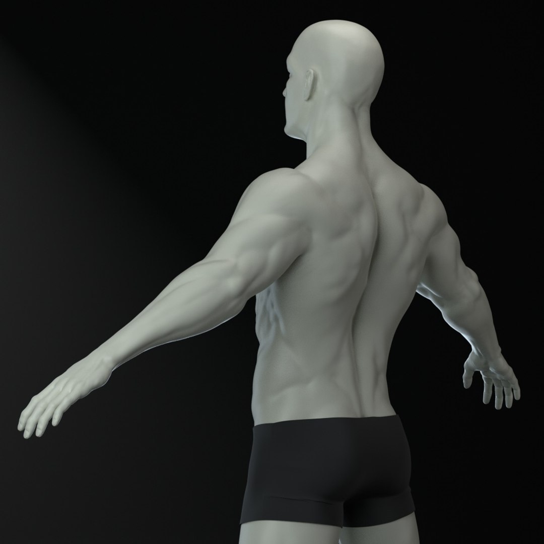 Male Body 3D Model - TurboSquid 1428179