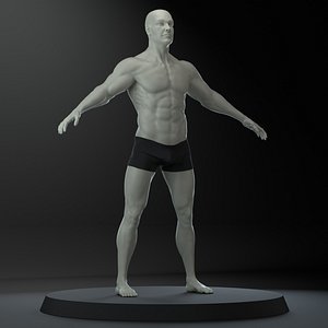 Human Body OBJ Models for Download | TurboSquid