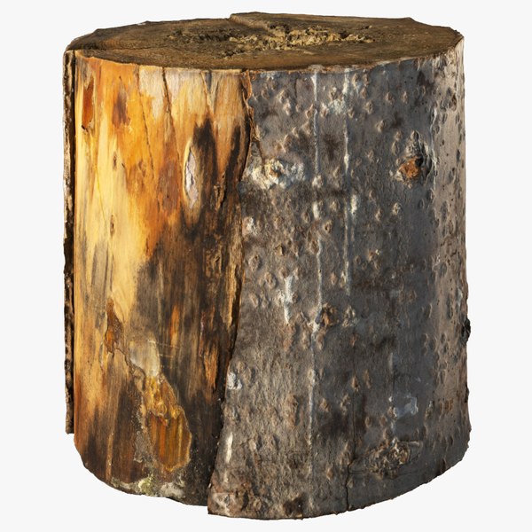 Fir stump for splitting firewood 3D model - TurboSquid 1775901