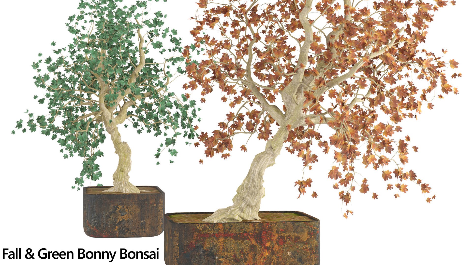 3D Yellow And Green Leaves Bonny Bonsai Trees - TurboSquid 2138147