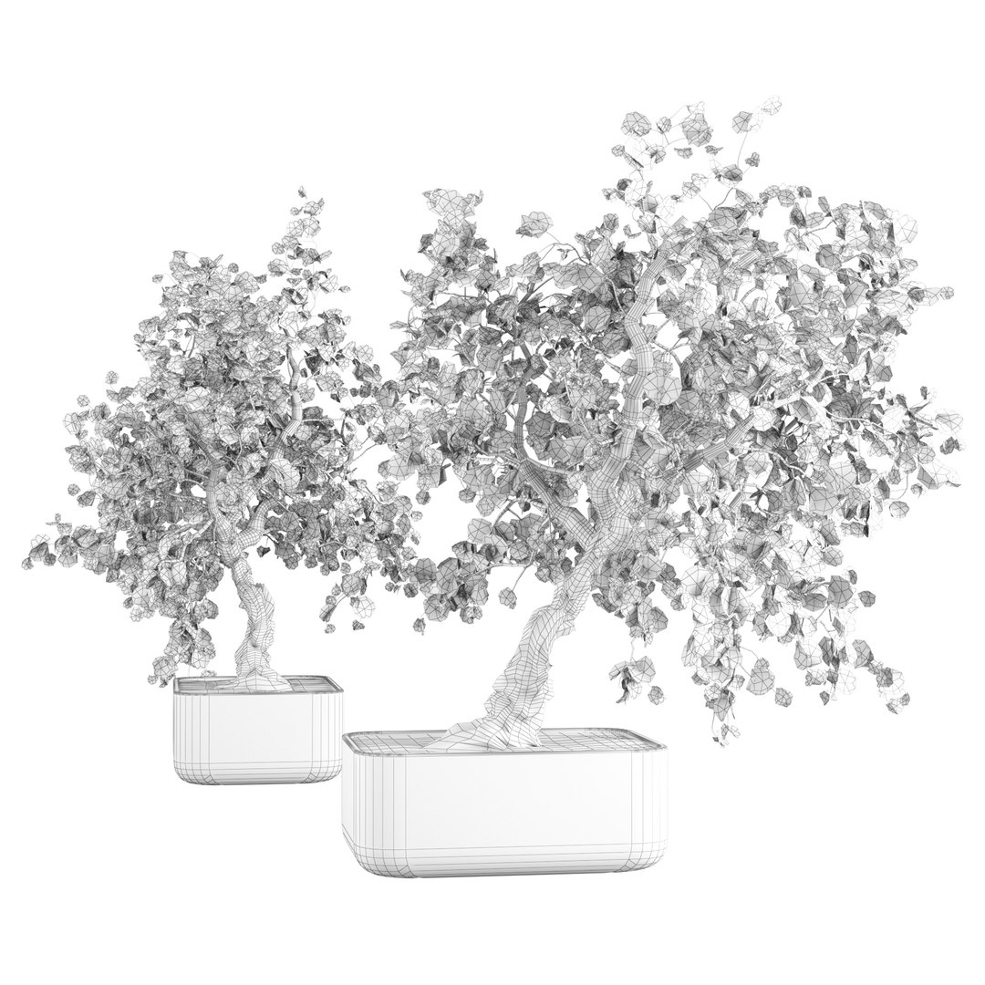 3D Yellow And Green Leaves Bonny Bonsai Trees - TurboSquid 2138147