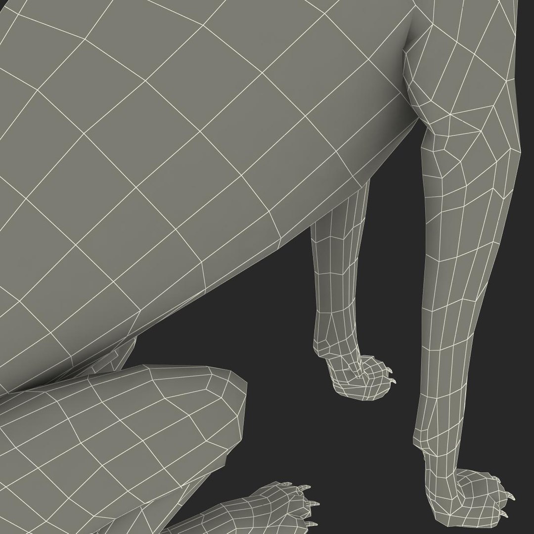 Australian Greyhound Pose 4 3d Model