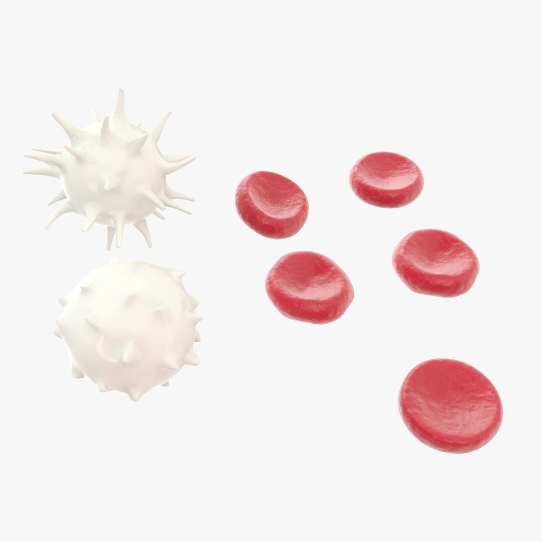 3D blood cells model - TurboSquid 1164381