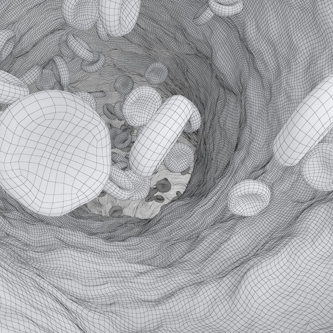 3D blood cells model - TurboSquid 1164381