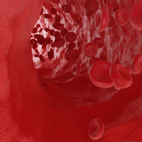 3D blood cells model - TurboSquid 1164381
